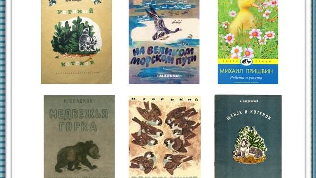 Евгений Чарушин