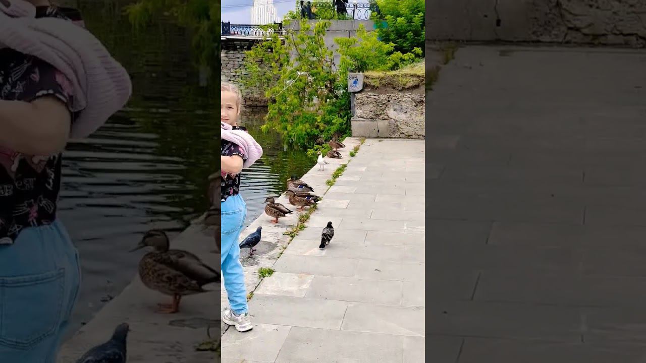 16 июля 2023 г.