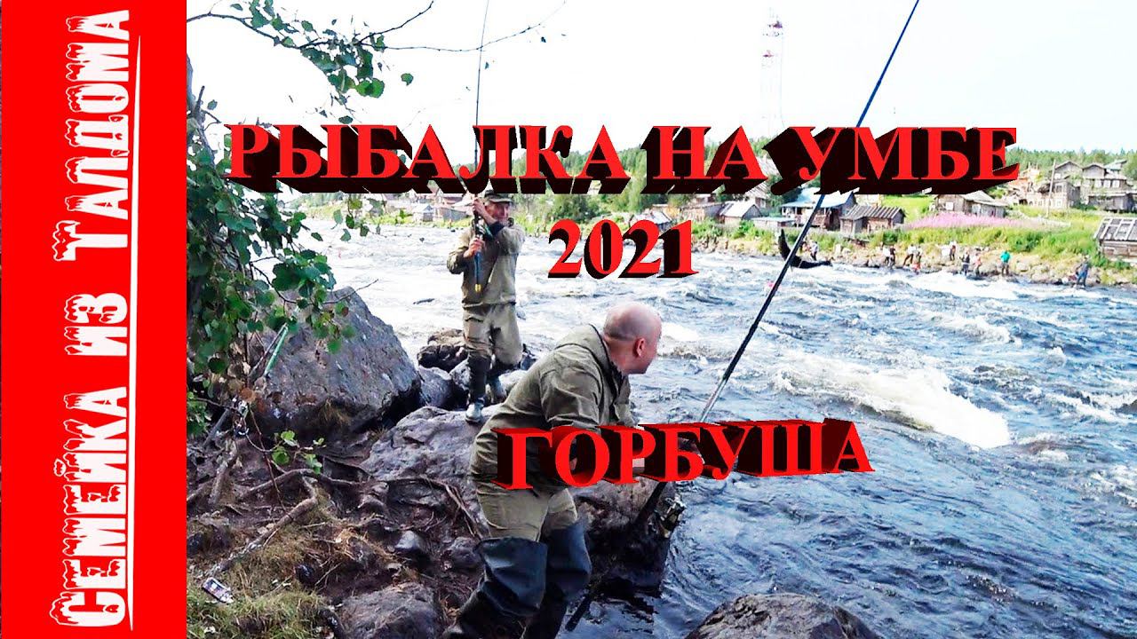 НЕЗАБЫВАЕМАЯ РЫБАЛКА НА УМБЕ С ПОДПИСЧИКАМИ ИЗ ЗАПРУДНИ