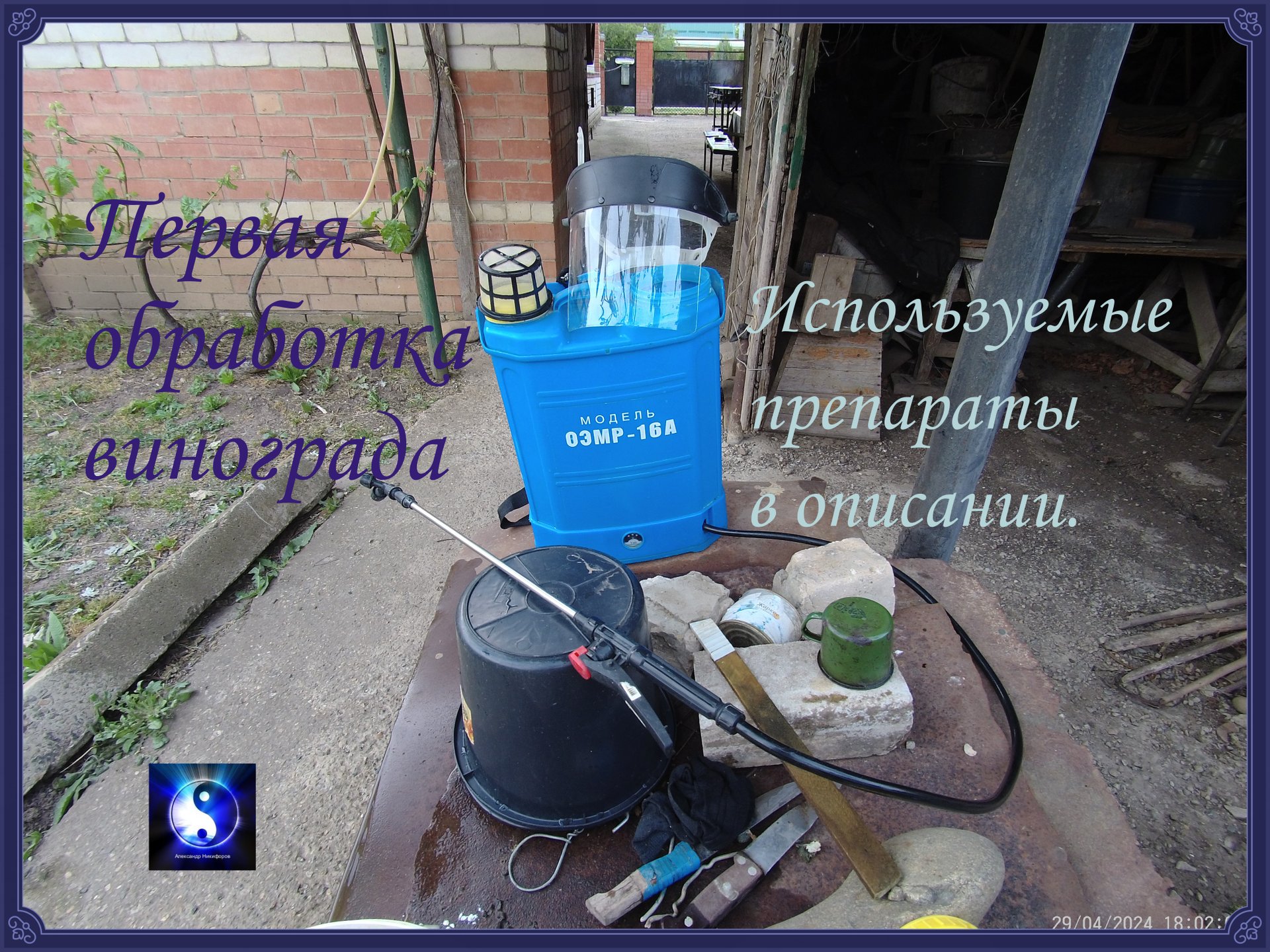 Обработка виноградника в апреле