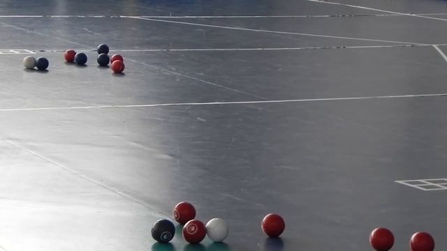 В Нижнем Новгороде 21 марта 2021 г. состоялся Чемпионат области по паралимпийскому виду спорта бочча