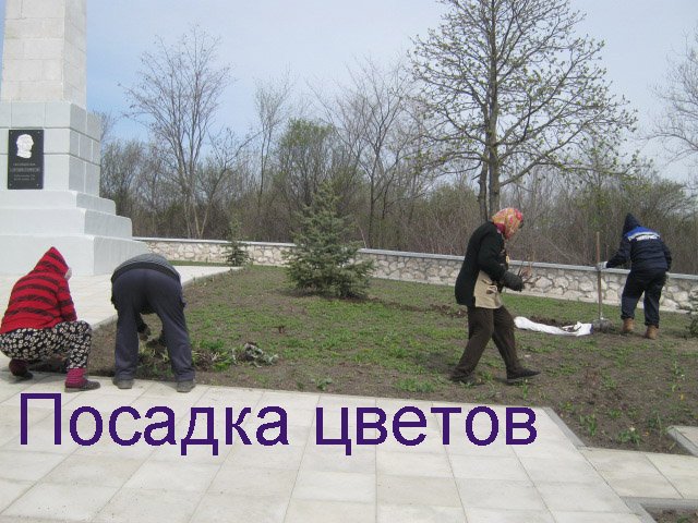 Сажаем Аквилегию, Георгины и Ландыши.mp4