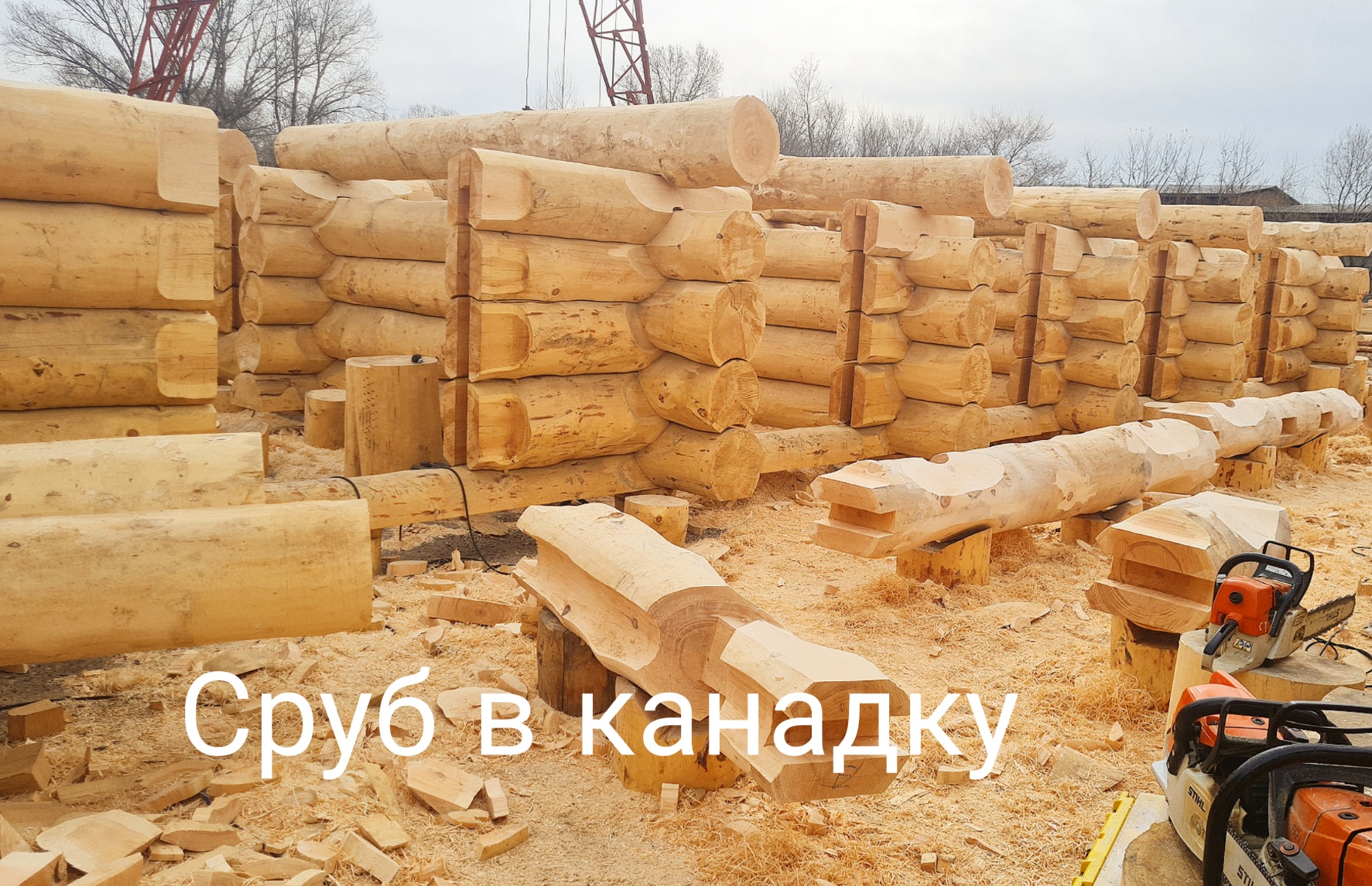 Сруб в канадку