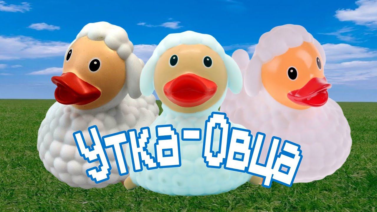 разпаковка уточки funny ducks, уточка-овечка