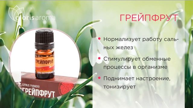 Ароматы лета ИЮЛЬ.