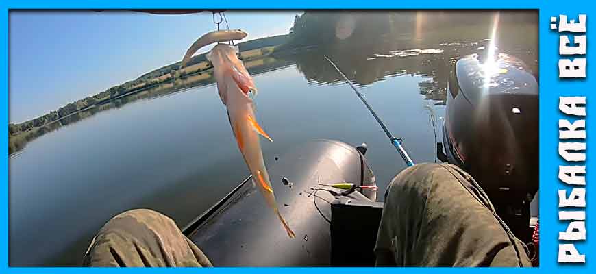 щука окунь живец или блесна