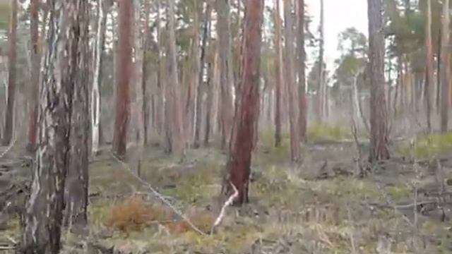 Вспомогательные способы ориентирования. Часть 15