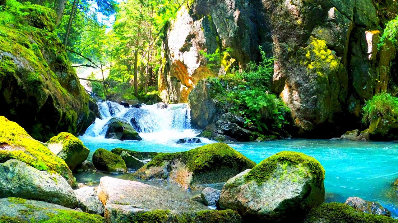 Звуки ручья и шум леса для успокоения - слушать звук ручья в лесу, Звуки для спокойного сна.