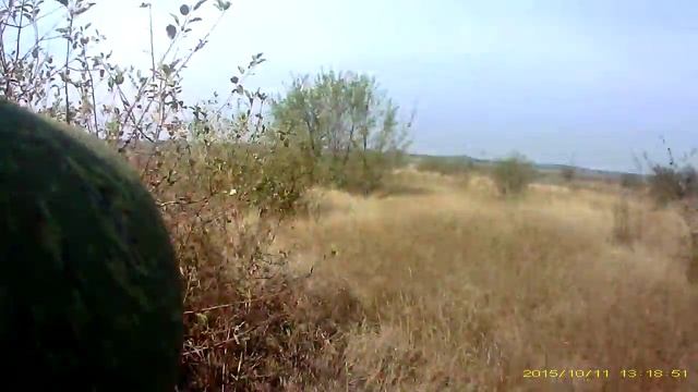 Охота на фазана 2015.mp4