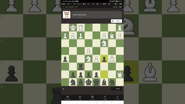 я неудачник в chess????