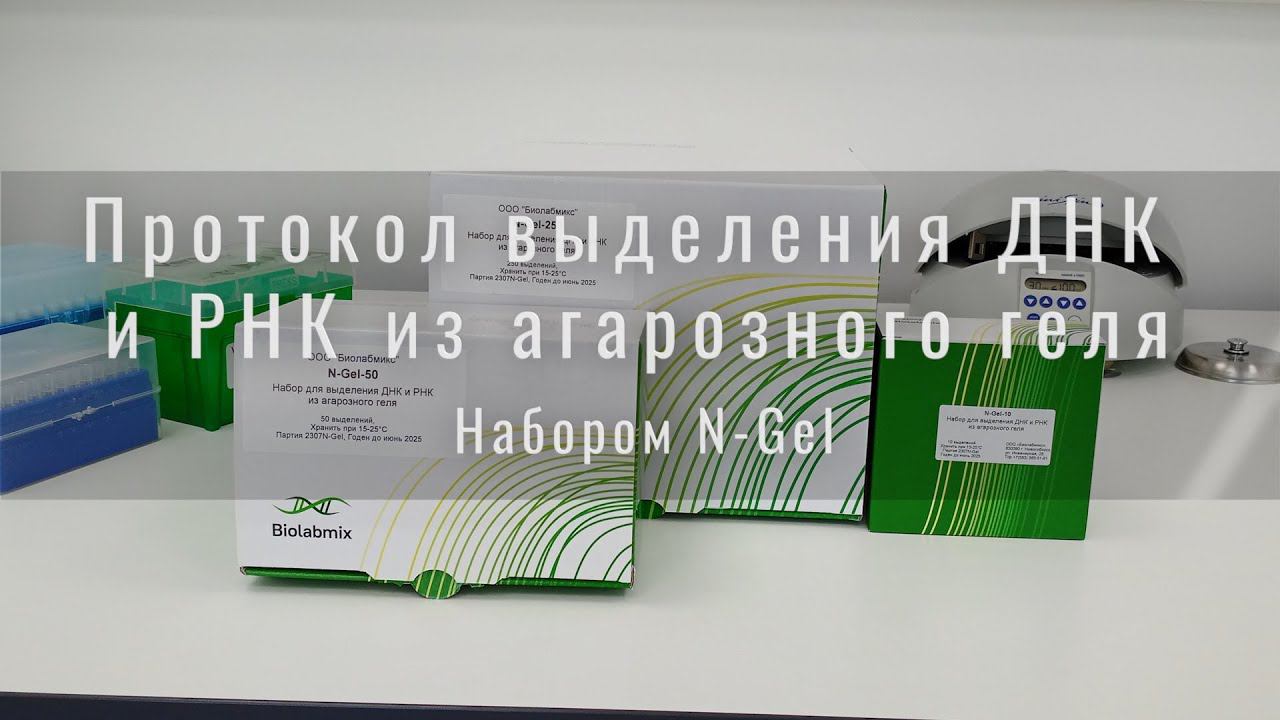 Видеоинструкция Биолабмикс - выделение ДНК и РНК из агарозного геля набором N-Gel