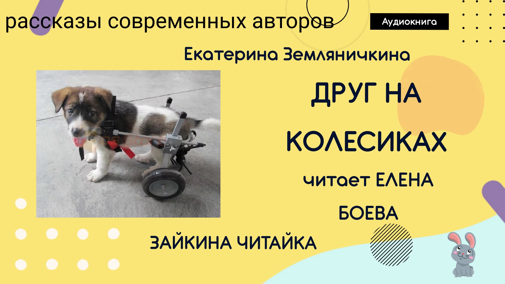 Екатерина Земляничкина. Друг на колесиках.