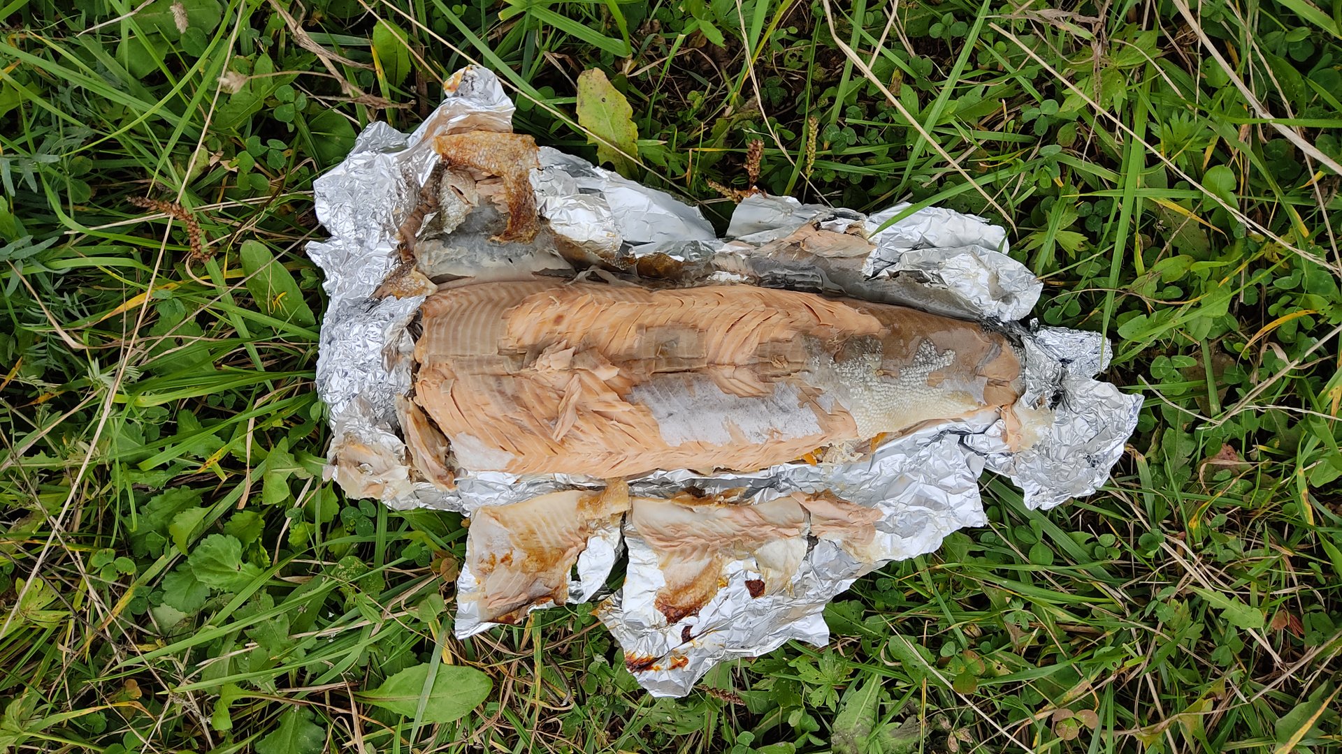 Готовим рыбное филе с овощами на углях костра во время путешествия