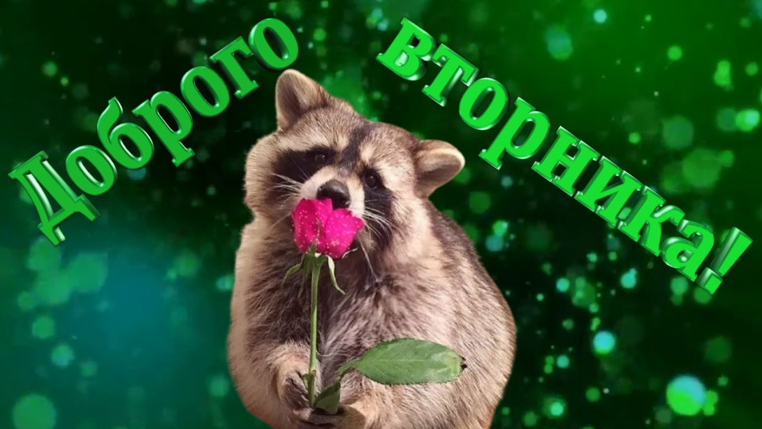 Доброго вторника!