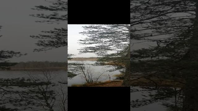 Озеро Линевское