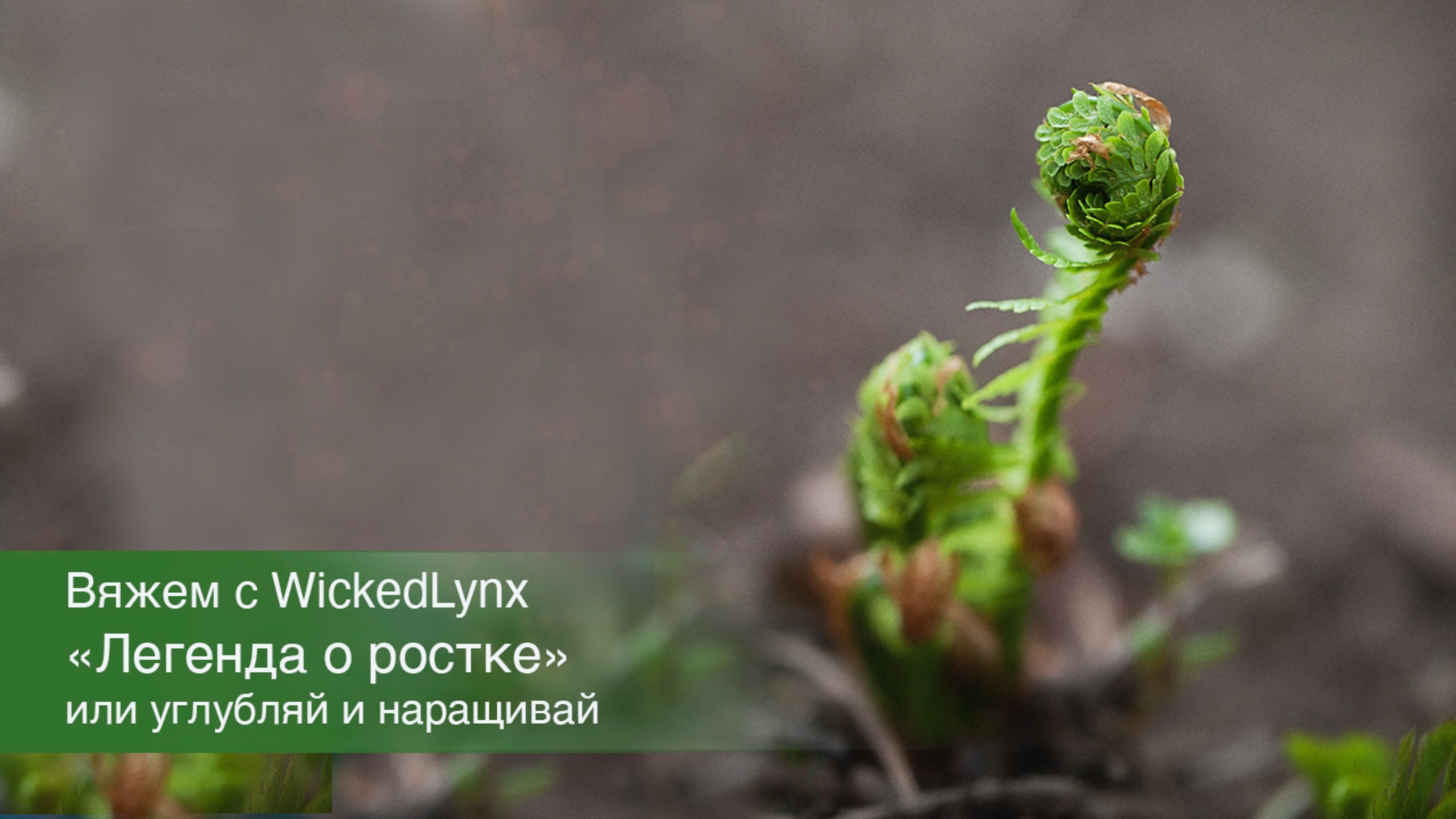 _ЛЕГЕНДА О РОСТКЕ_ или углубляй и наращивай