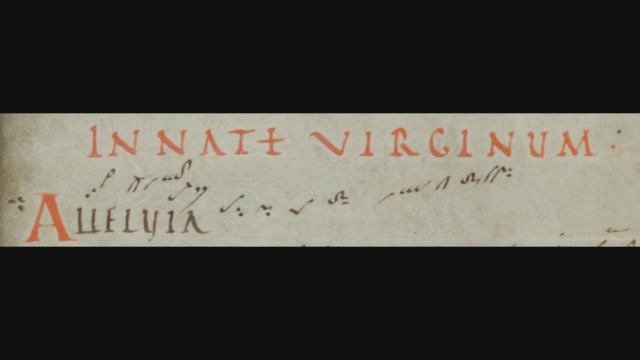 Alleluia Diffusa est Gratia