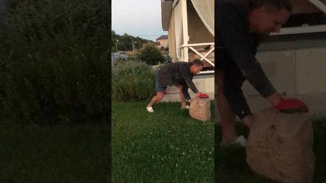 Катаю камни, строим альпийскую горку #сад #благоустройство #камни