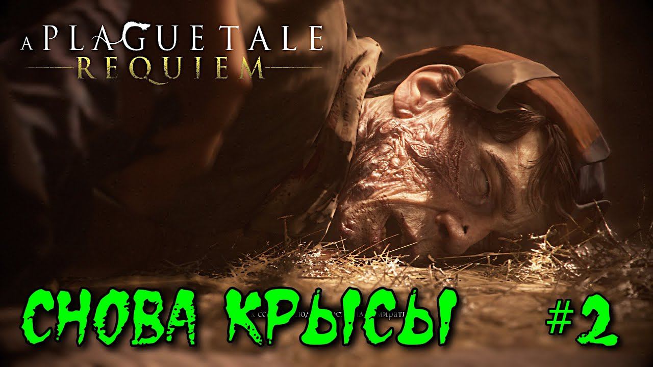 A Plague Tale: Requiem #2
