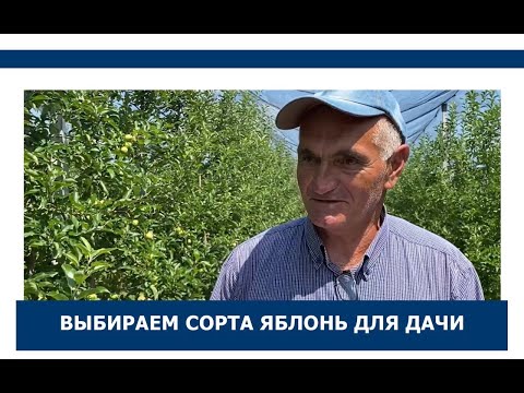 Выбираем сорта яблонь для дачи/Домашний сад
