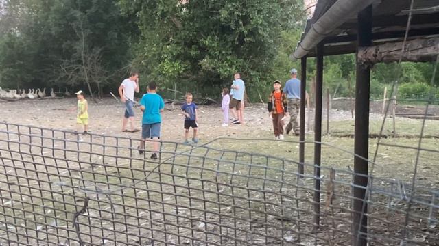 Фестиваль "Души моей Раздолье". Поход на гусиную ферму 2024 г