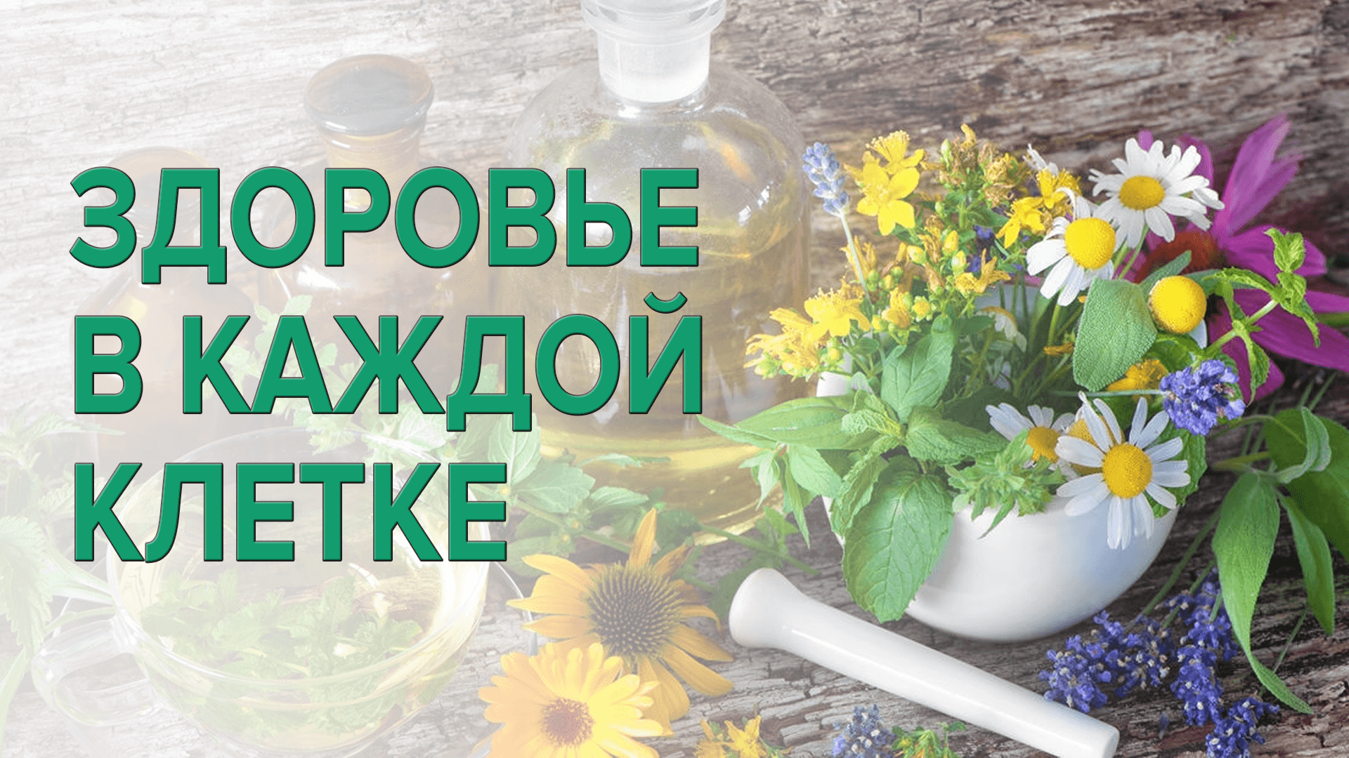 Пихта и шалфей — эффективные травы для оздоровления