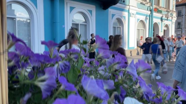 Музыканты Питера