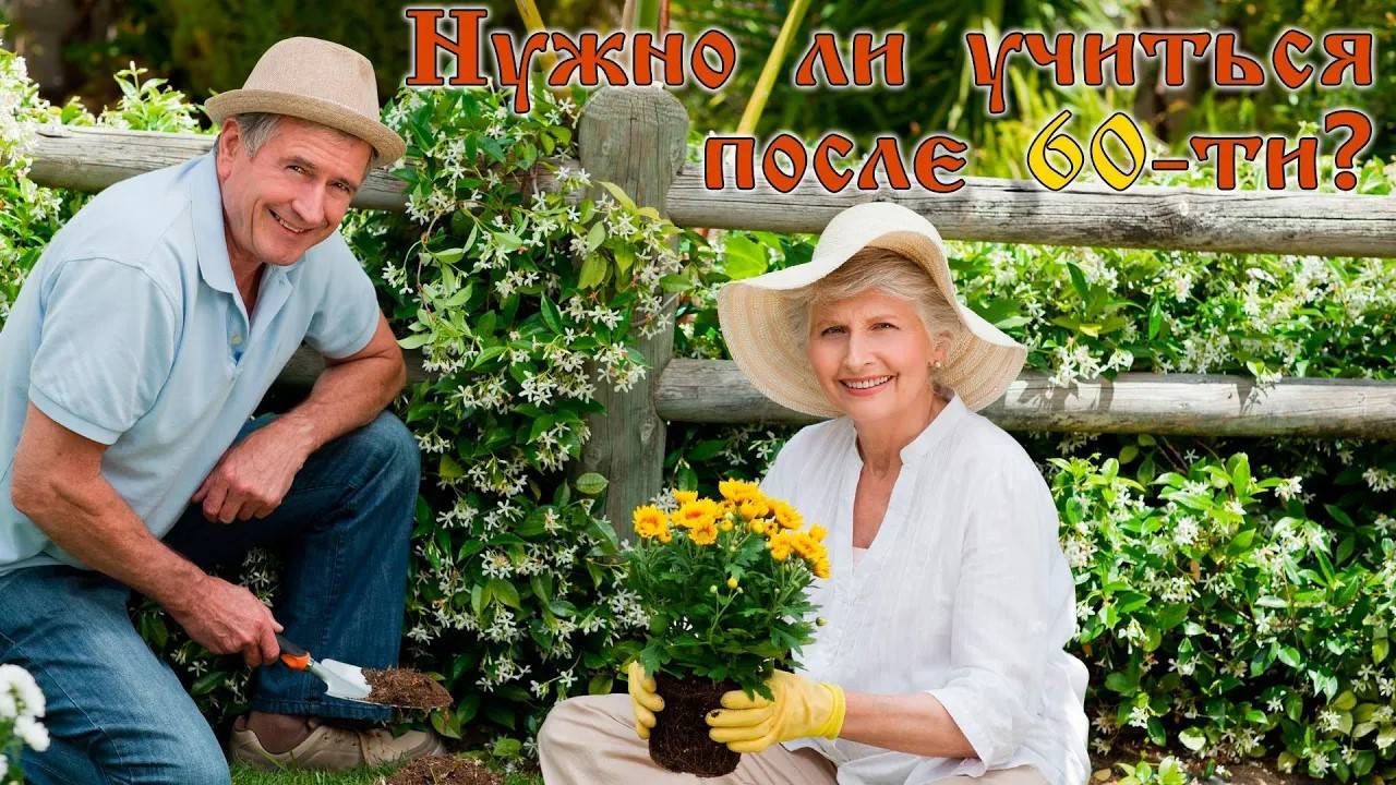 Есть ли смысл учить себя после 60-ти, 70-ти