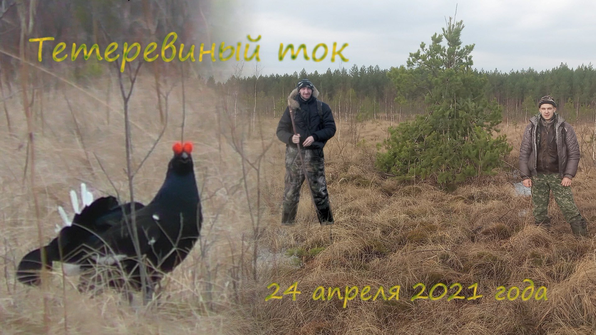 2021 год