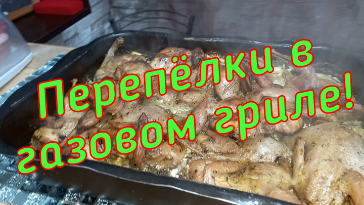 Первая в Новом году вылазка на дачу! Перепёлки в газовом гриле! #семейкаблохиных