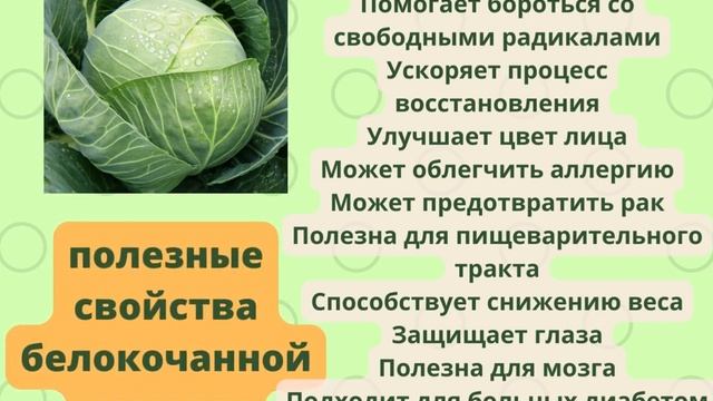 белокочанная капуста.mp4