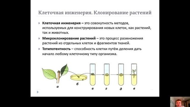 Биотехнология