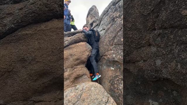 А сначала идея показалась хорошей.. #shorts #rutubeshorts #шортс