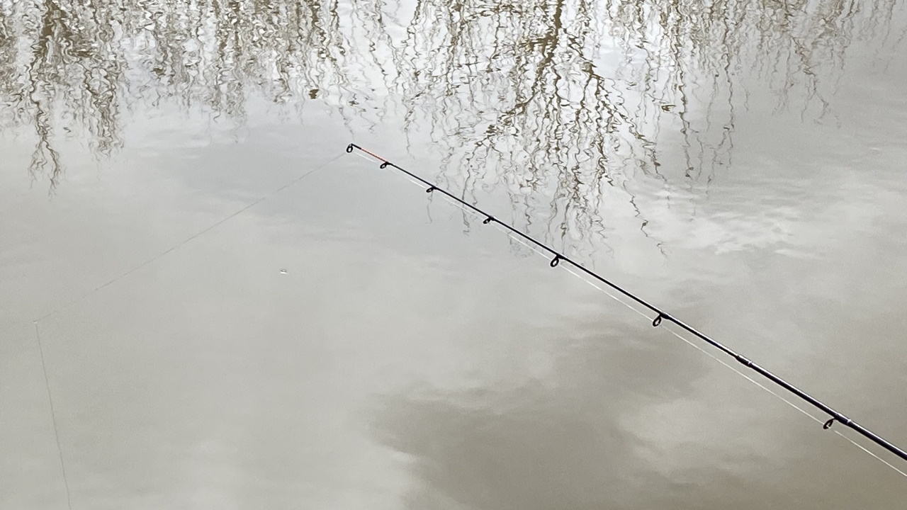 ФИДЕР ВЕСНОЙ.mp4