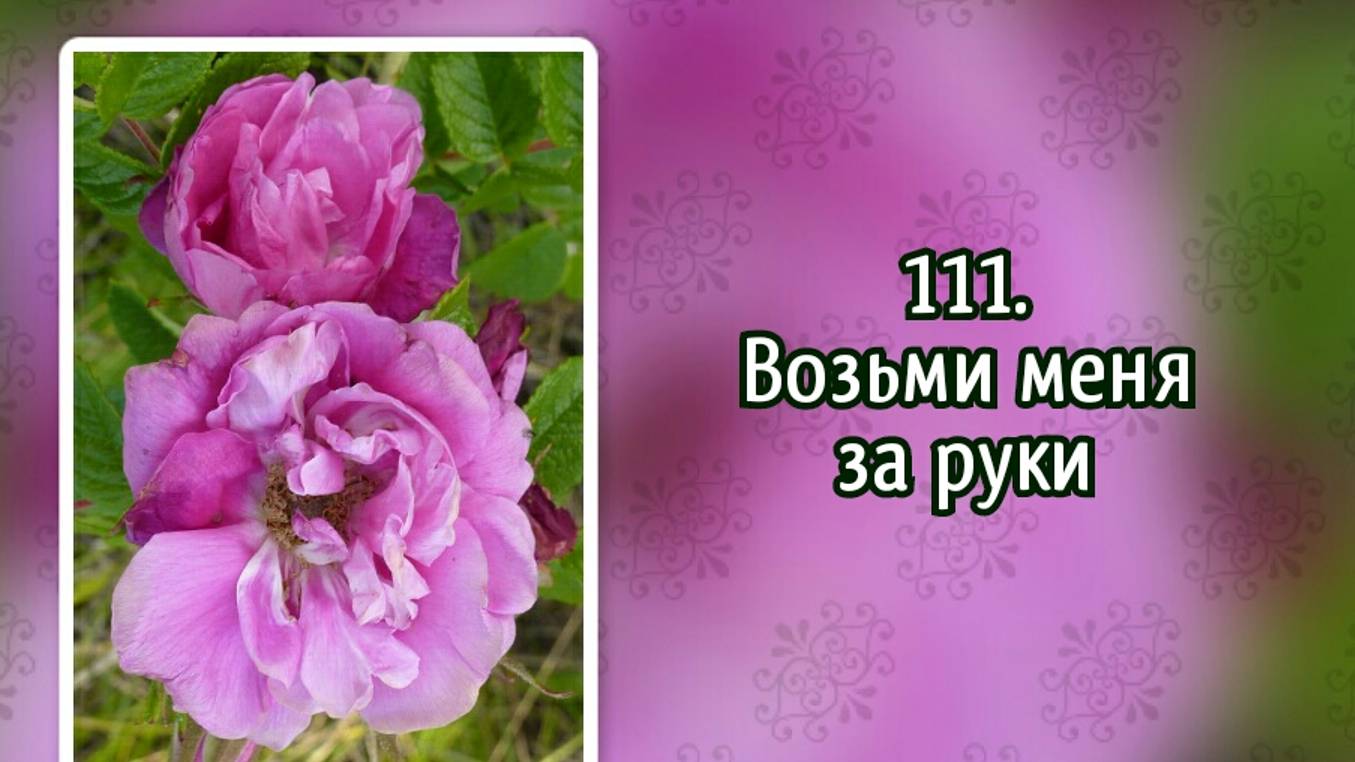 Гимны надежды 111 Возьми меня за руки (-)