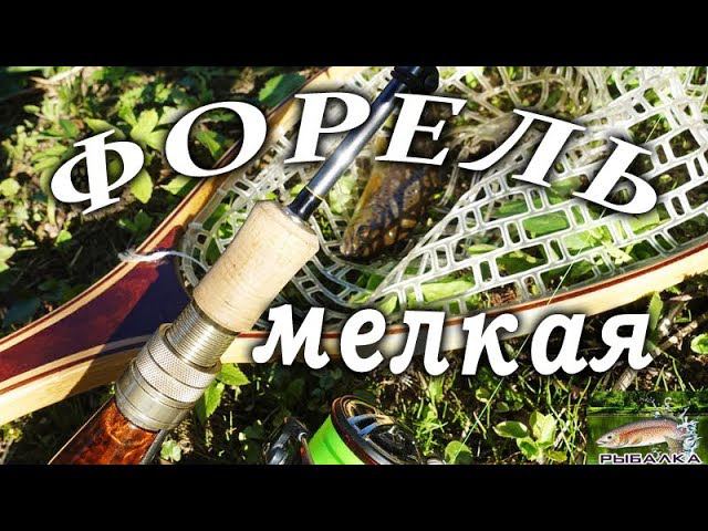 Форель мелкая. Рыбалка в Ленинградской области. Май 2020.