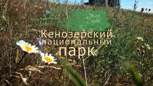 Русский Север 2021 Кенозерский Национальный парк_1080p.mp4