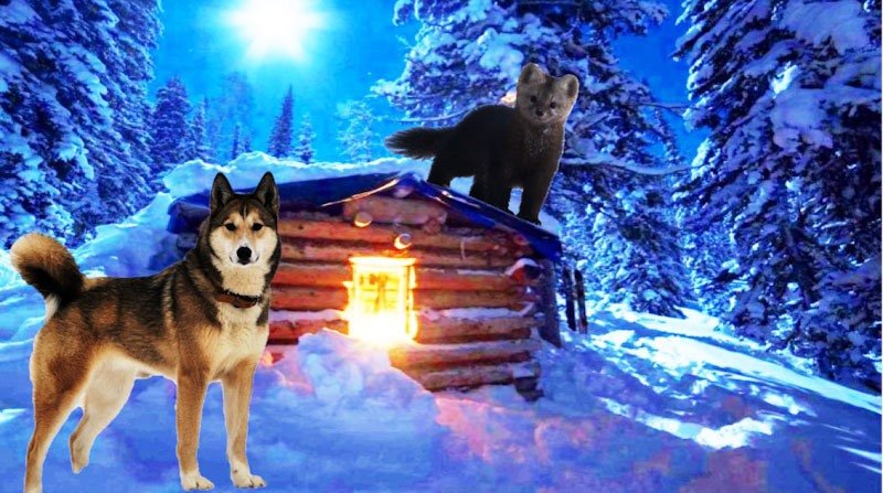 Звериное чутьё спасло жизнь охотнику. Таёжные истории