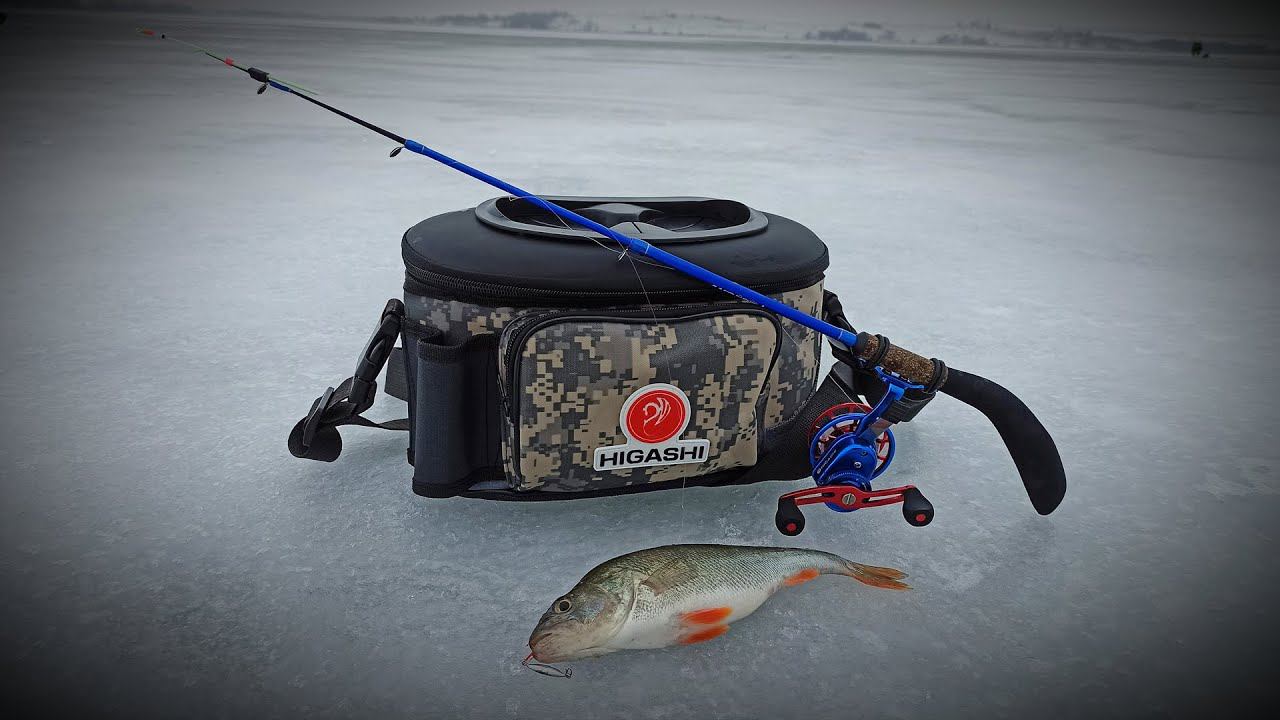 Андрюха, ты тута?!  #shorts