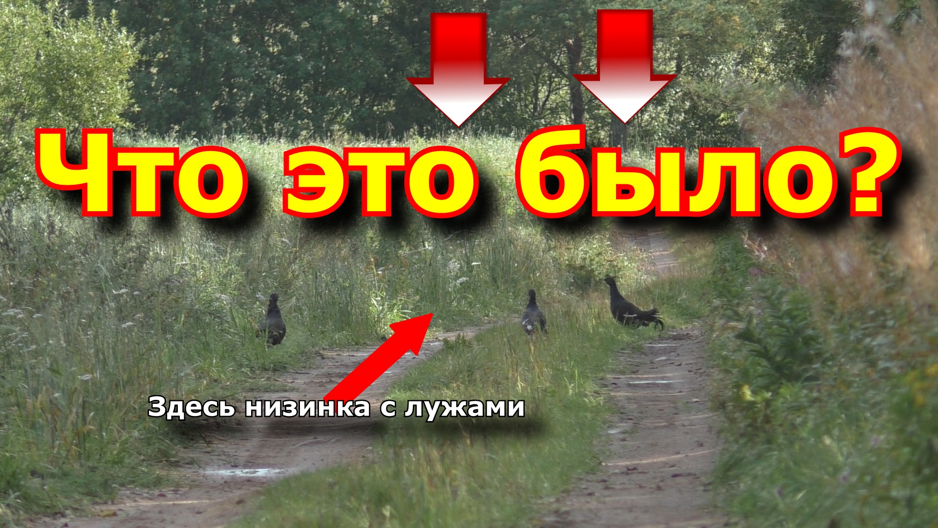 Загадочное явление на просёлочной дороге