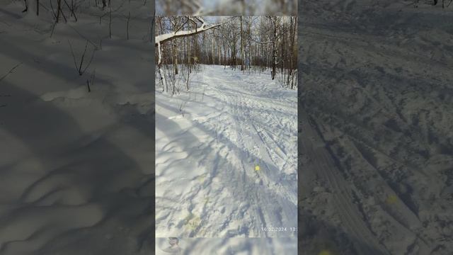 В зимнем парке (клип) 2024