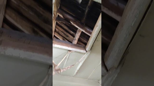 4. Купила ЗАБРОШЕННЫЙ дом и делаю в нем МАСТЕРСКУЮ.