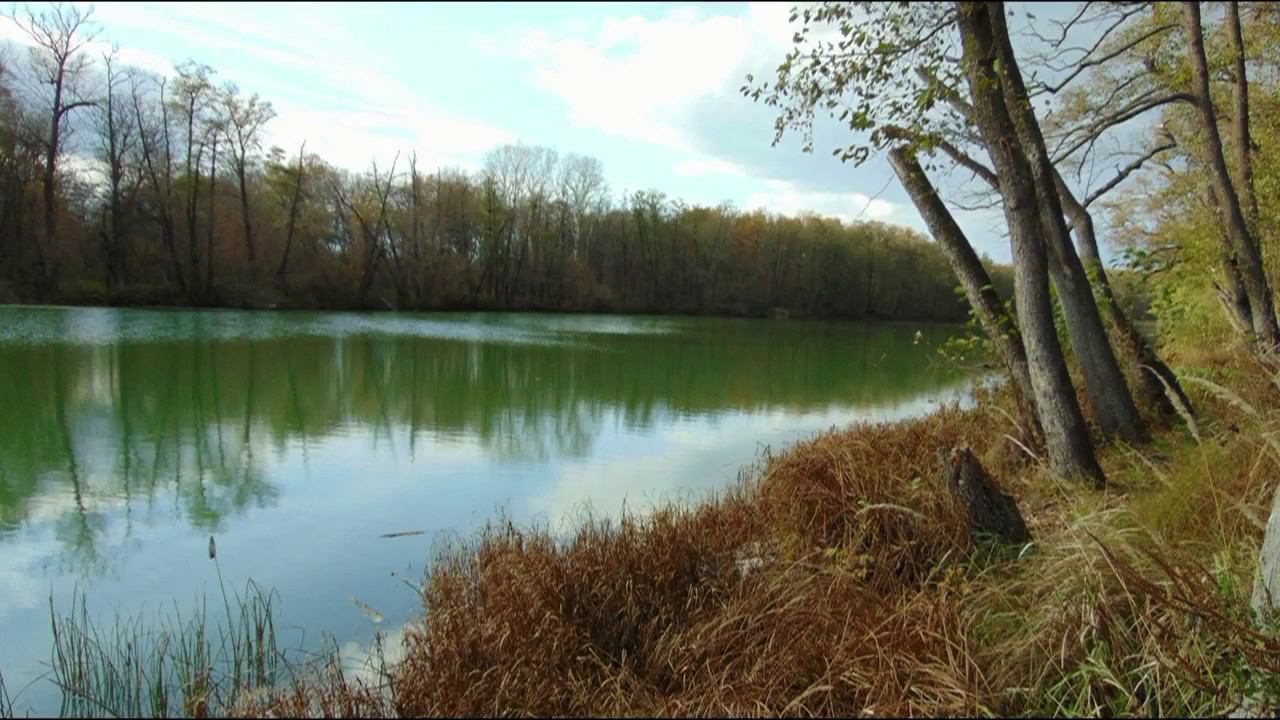 осень холодно