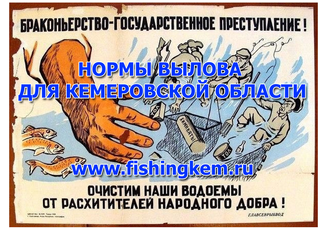 Нормы вылова для Кемеровской области.