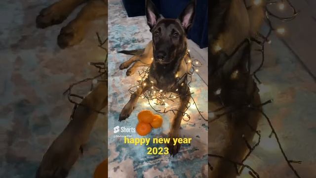 С новым 2023 годом!