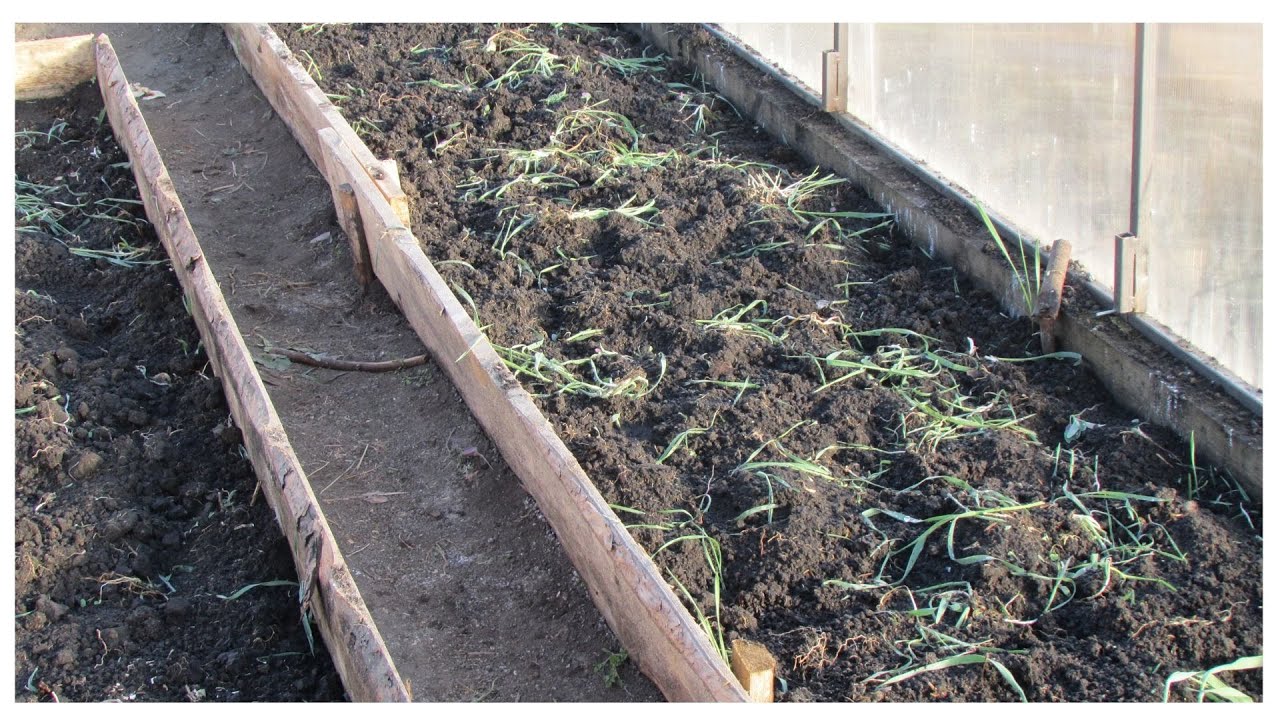 С МУЖЕМ ВСЕ ДЕЛА СПОРЯТСЯ!!!