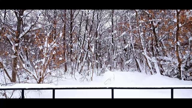 Зима в Сарапуле 2022.mp4