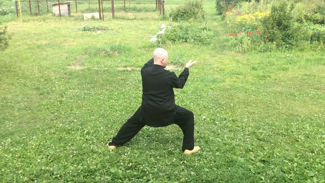 Шесть печатей, четыре замка. Чэньши Тайцзицюань. Позиция 3/83.