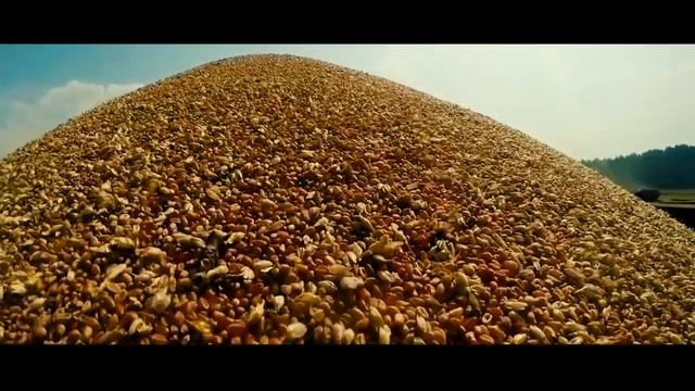 Общий фильм о Компании