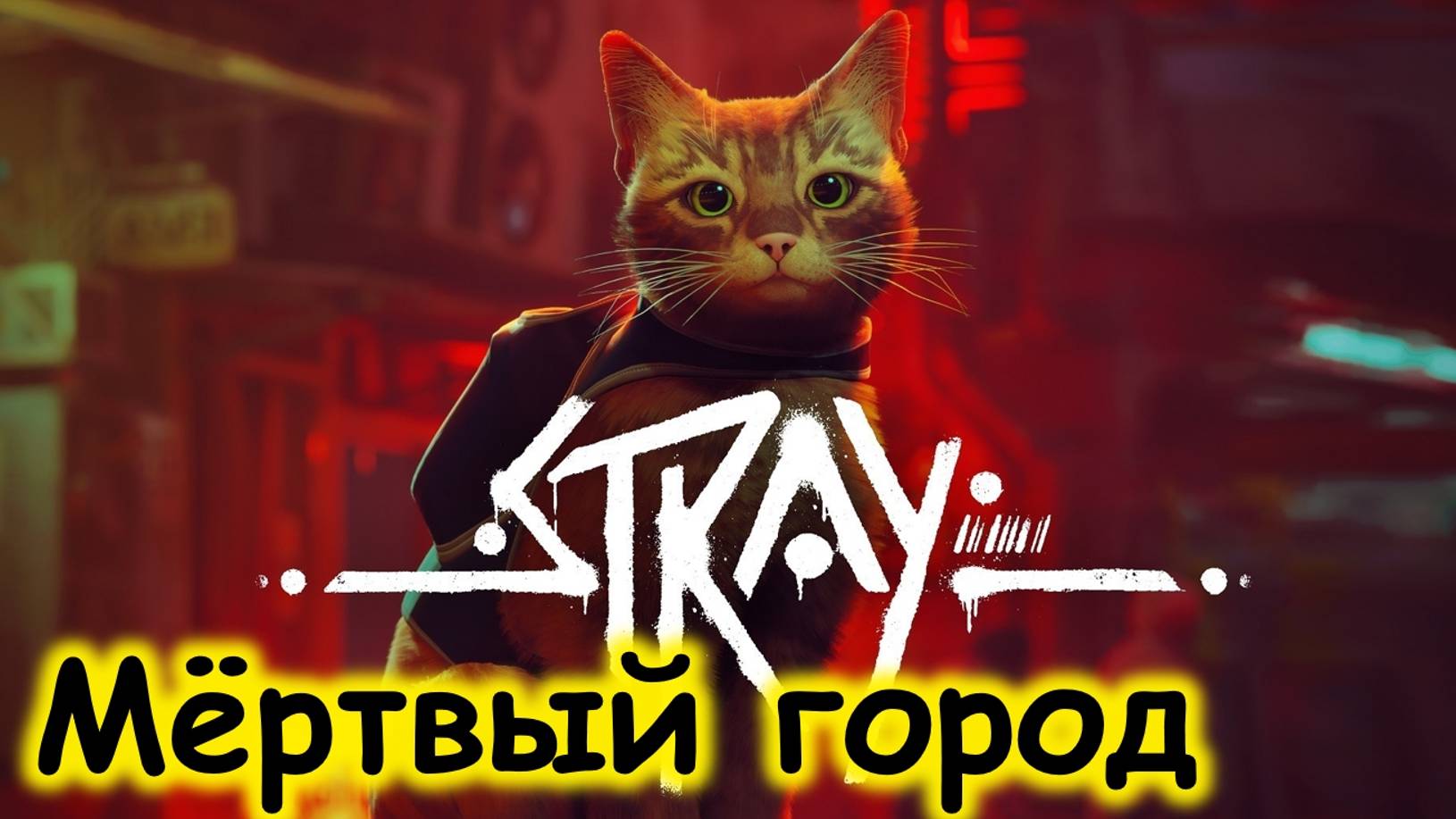 STRAY. Мёртвый город. Прохождение игры #stray #gameplay